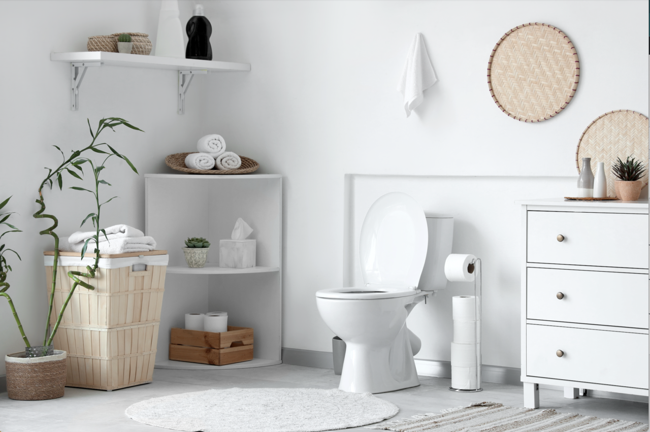 Ways to Stop Your Toilet from Sweating in North Aurora, IL - Titan Plumbing